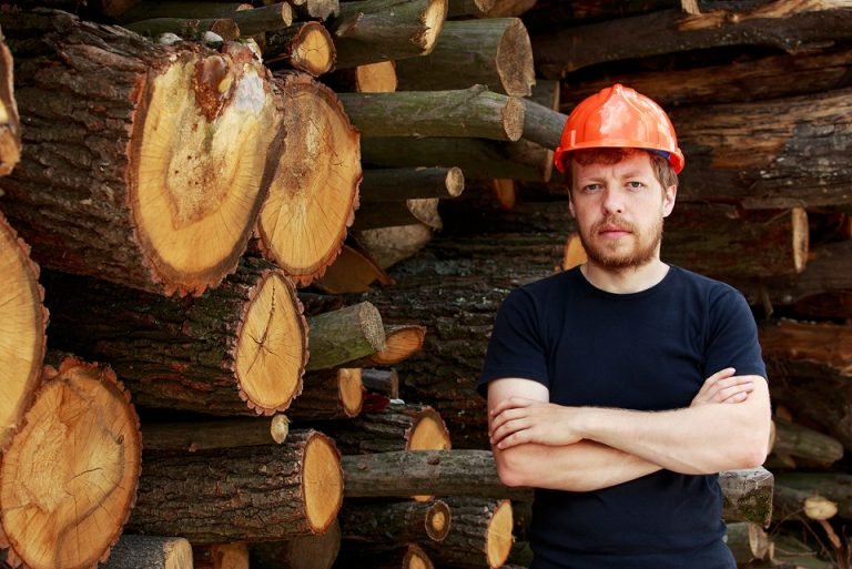 Tree Care - MT Vernon Tree Company | Tree Removal